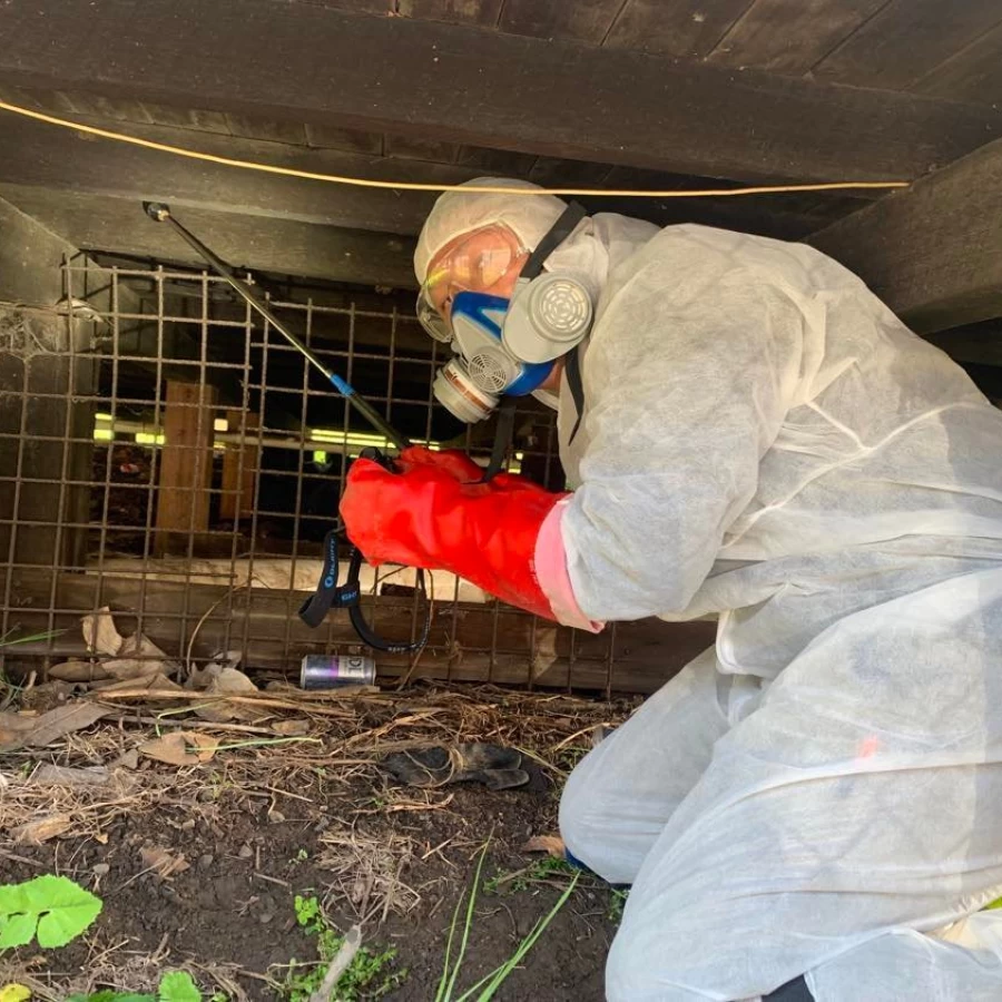 Termite Treatment in Sydney : Inspection and Removal : A2 Pest Management